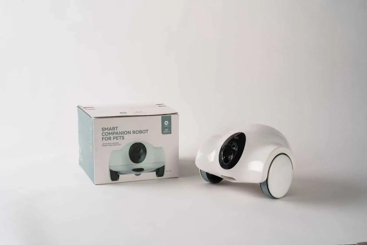 GULIGULI Official | Smart Pet Companion Brings Joy to Pets